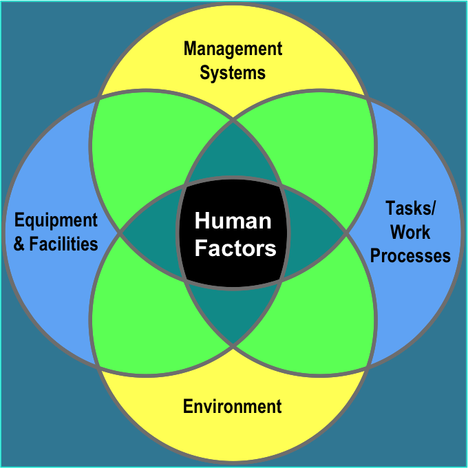 Human Factors Psychology